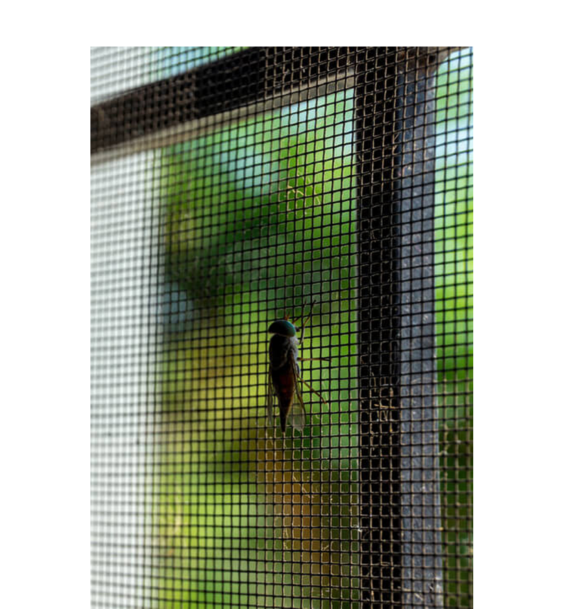 Home - Flyscreen Solutions